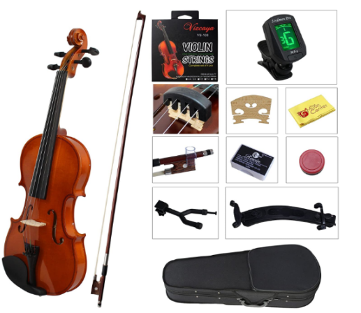 9 Best Cheap Violins That Produce Amazing Sound | 9strings