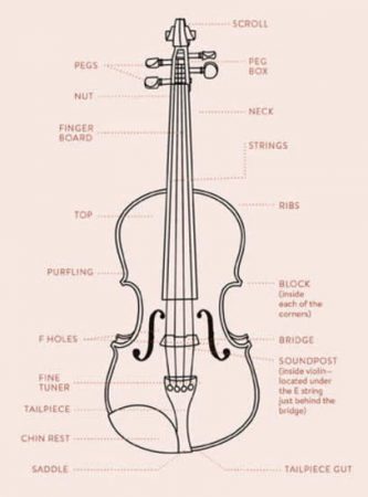 How To Choose A Violin, Bow, And String?
