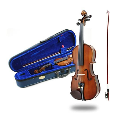 9 Best Beginner Violins For Adults In 2021 [With Buying Guide] | 9strings