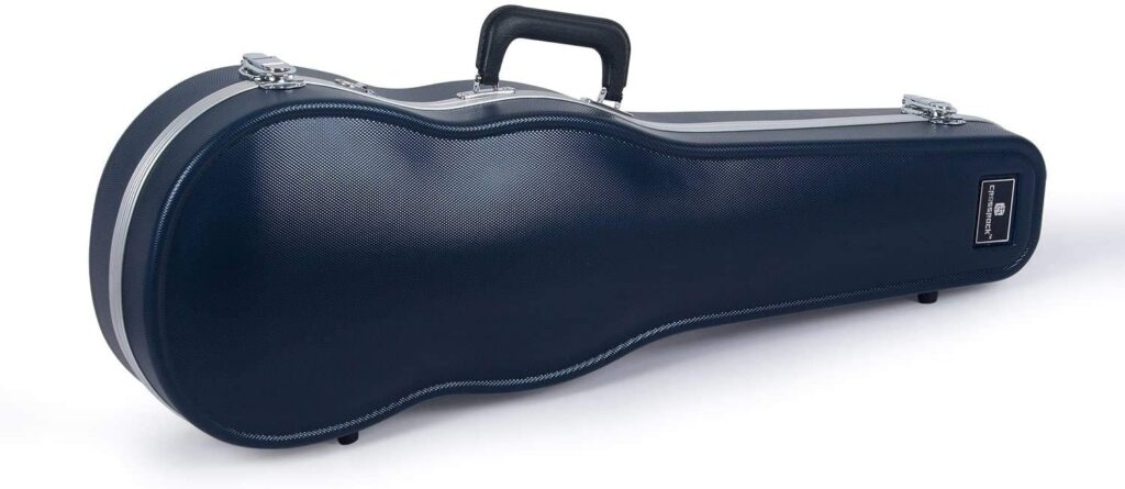 9 Best Violin Cases Review | 9strings