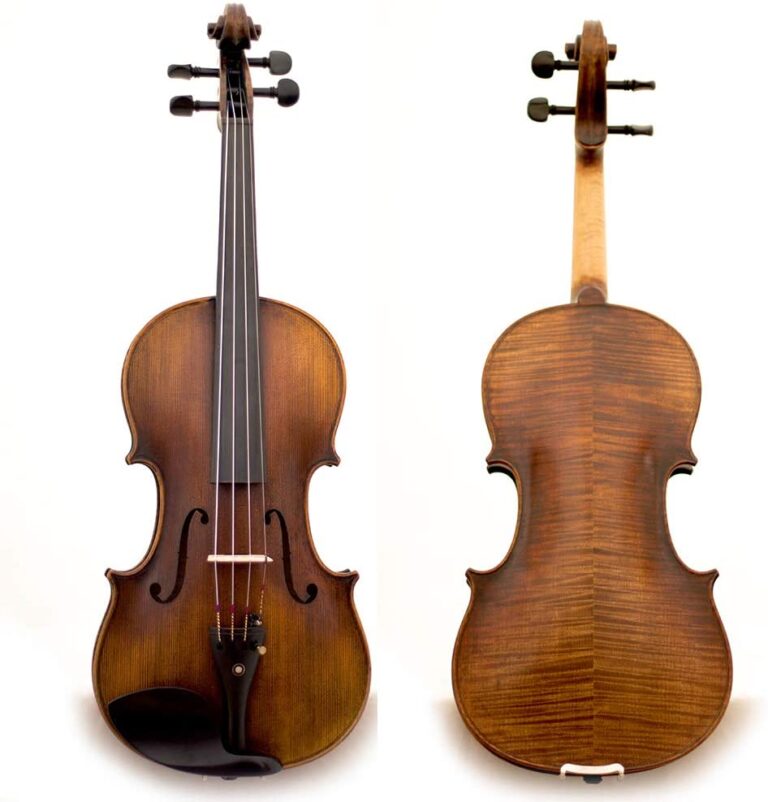 9 Best Violins For Advanced Players In 2021 | 9strings