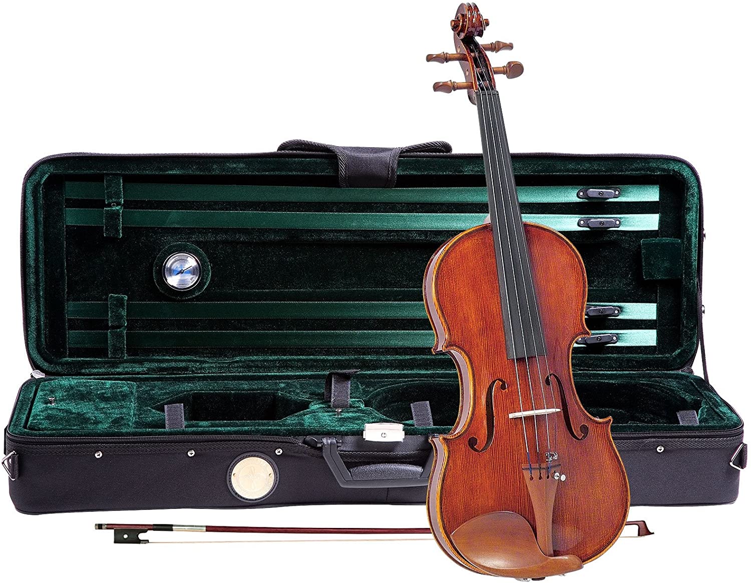 9 Best Violins For Advanced Players In 2021 | 9strings