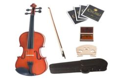 Best Cecilio Violins Review - Are Cecilio Violins Good?