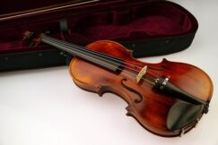 Fiddle Vs Violin: 5 Main Differences